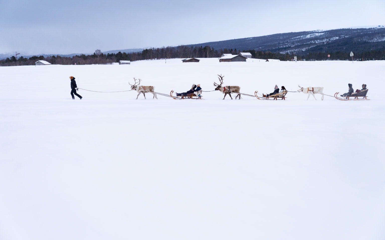 Meet the Sami - Norway's Indigenous Reindeer Herders ...